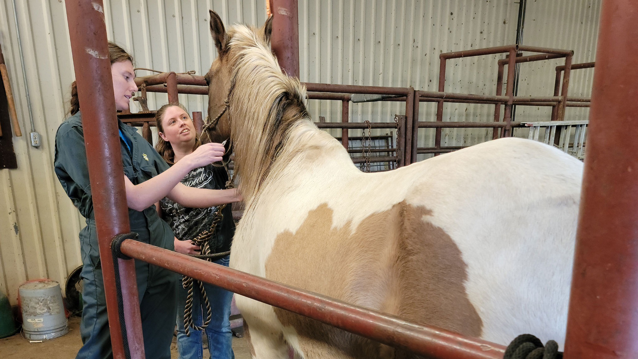 Independence, KS 67301 - Independence Animal Hospital