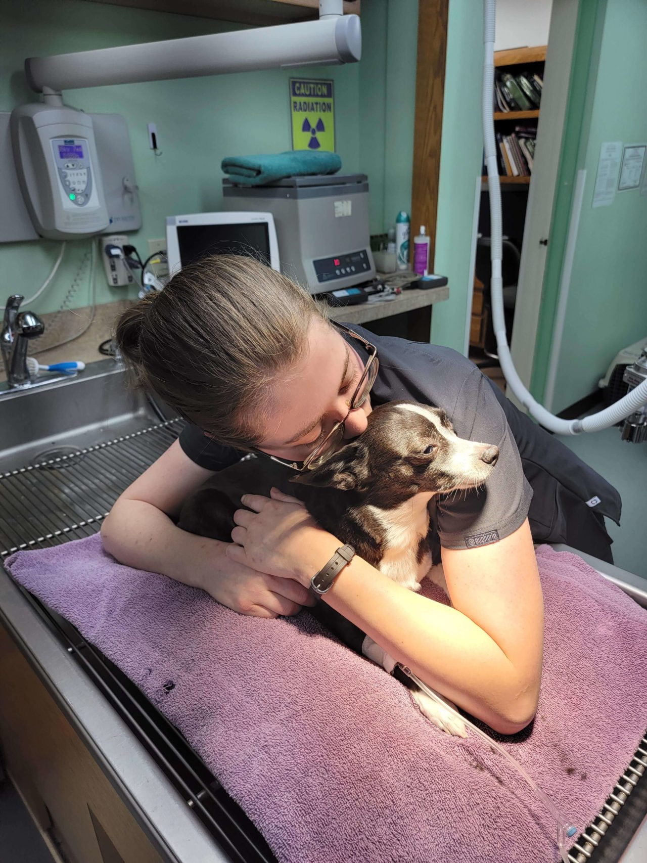 Pet Photo Gallery - Independence Animal Hospital