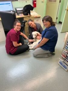 Independence, KS 67301 - Independence Animal Hospital