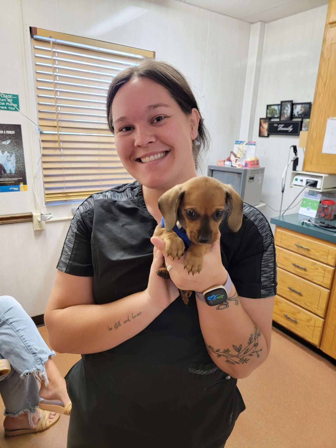 Independence, KS Veterinarians - Independence Animal Hospital