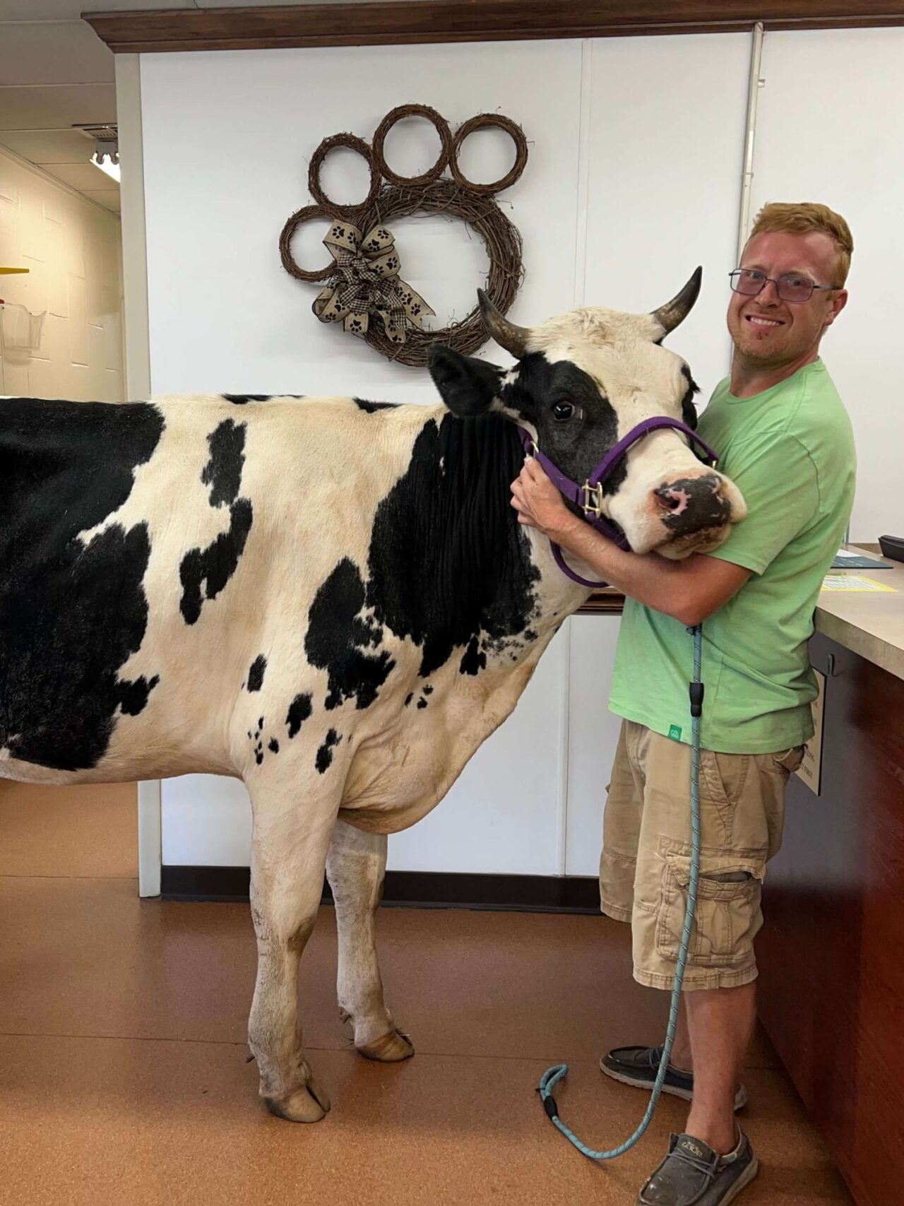 Independence, KS Veterinarians - Independence Animal Hospital